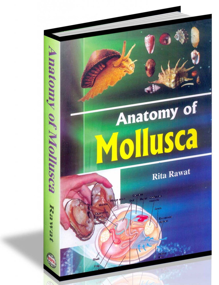 Anatomy of Mollusca – Mittal Publications